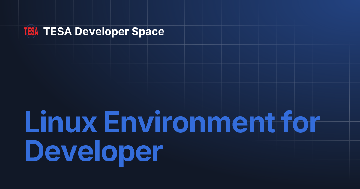 Linux Environment for Developer | TESA Developer Space